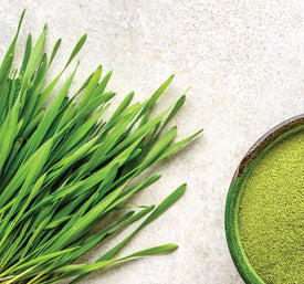 Keto-Green™ Protein Shake Meal Replacement – Shop – Dr Anna Cabeca